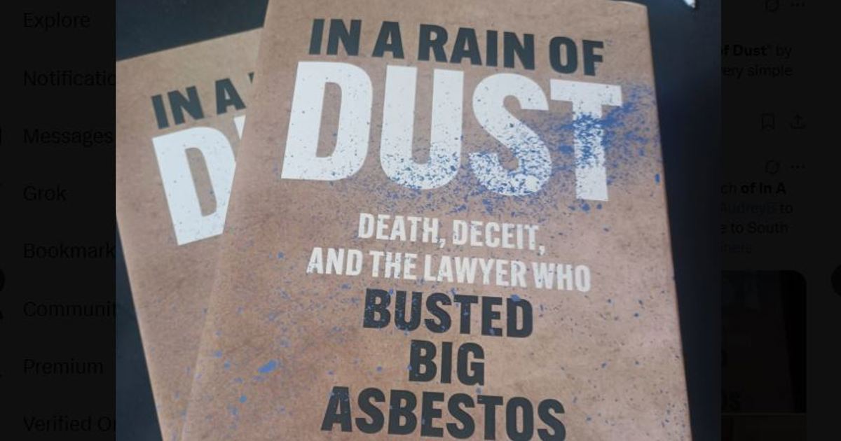 How a lawyer fought for 1000s of South Africans in a British court to ...