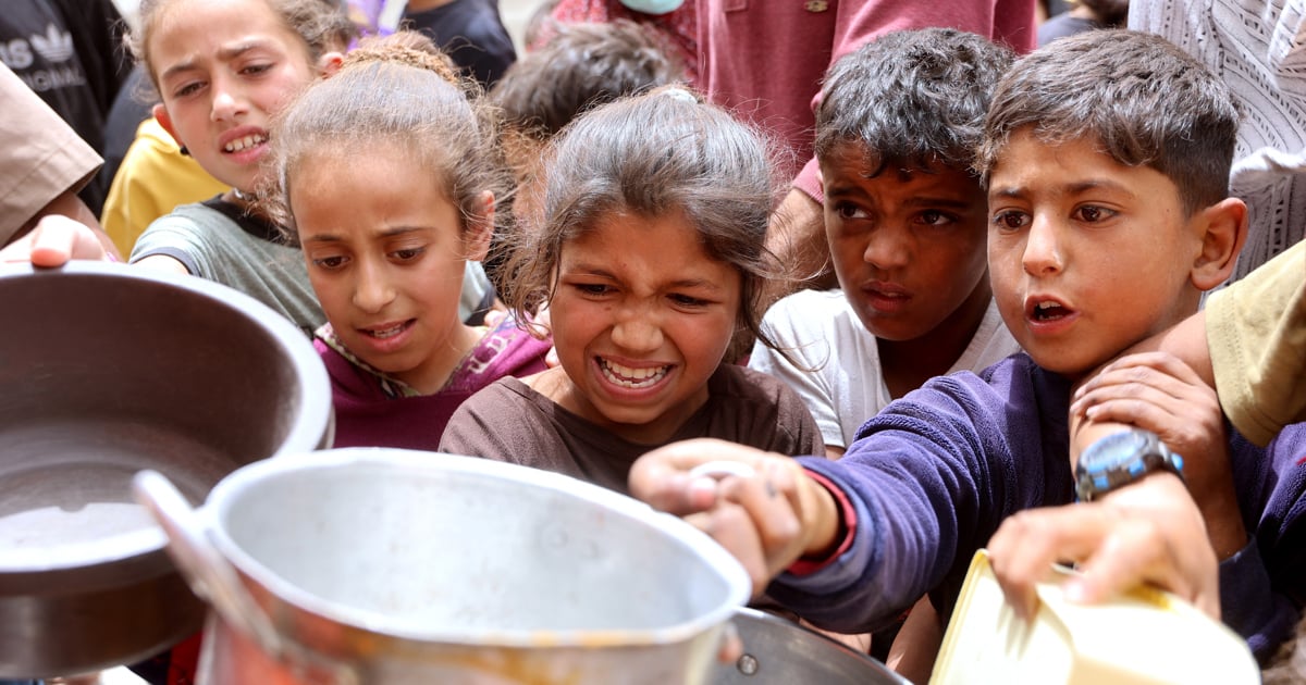 'Deadly blockade' leaves Gaza aid work on verge of collapse