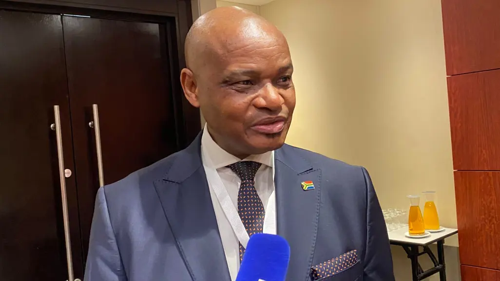 SIU's Mothibi flags increasing threats against investigators probing ...