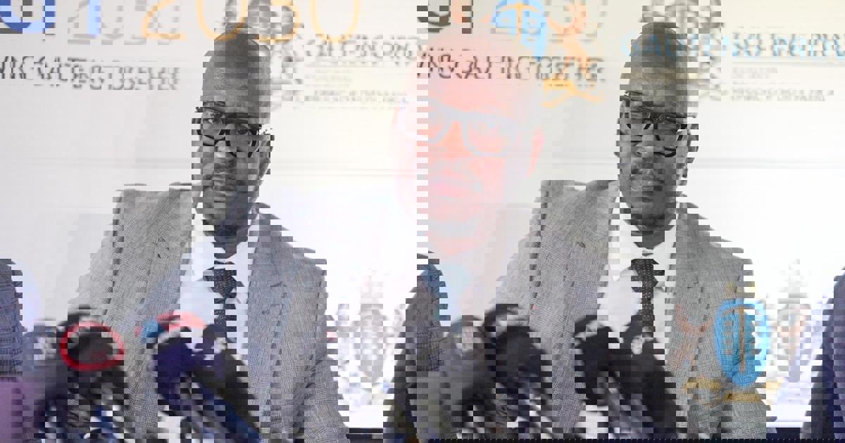 Chiloane concerned Gwarube signing agreement on BELA ACT will result in schools being reserved ...