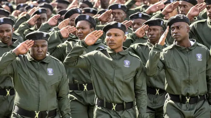 DA says it won't disband Amapanyaza should it run the Gauteng ...