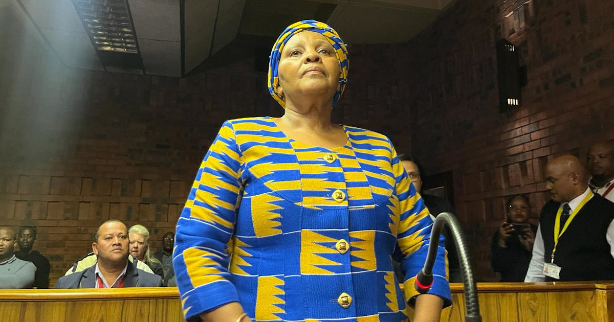 Mapisa-Nqakula wants SANDF to provide her with legal representation