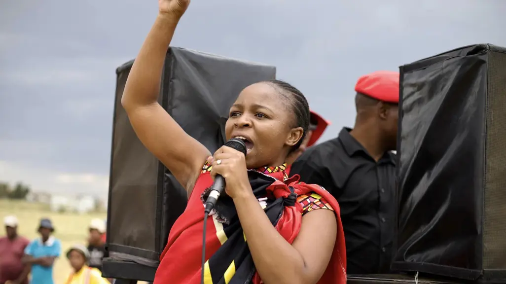 EFF Youth Command demands answers in rape case of 7-year-old girl in EC