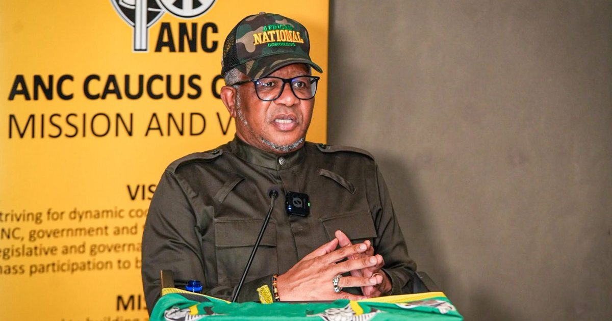 Mbalula warns illegal immigration poses a national security risk