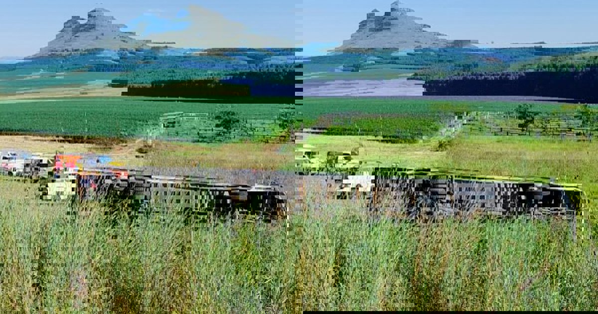 9 ANC manifesto launch attendees killed in KZN bus accident