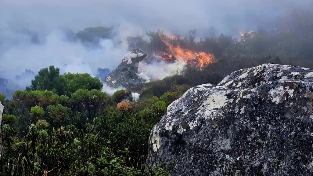 Mop-up operations underway following Table Mountain fire