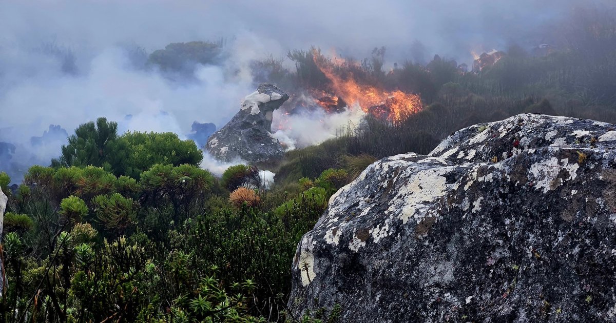 Mop-up operations underway following Table Mountain fire