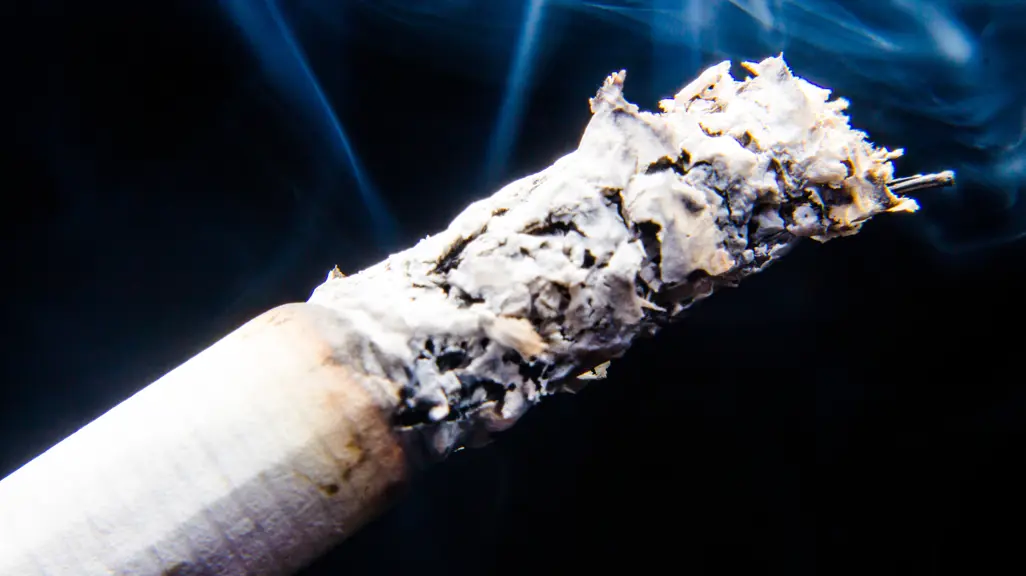 Most Western Cape wildfires are caused by human error - Expert