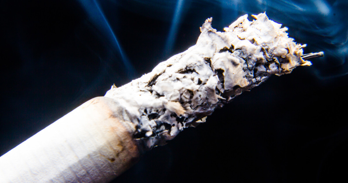 Most Western Cape wildfires are caused by human error - Expert