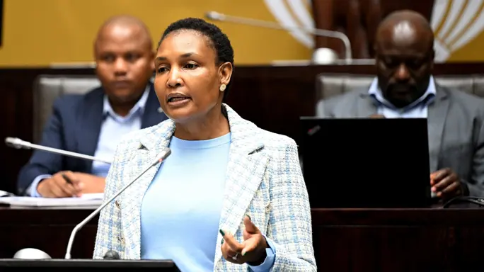 Simelane tells MPs she has 'no authority' to interfere in any VBS ...