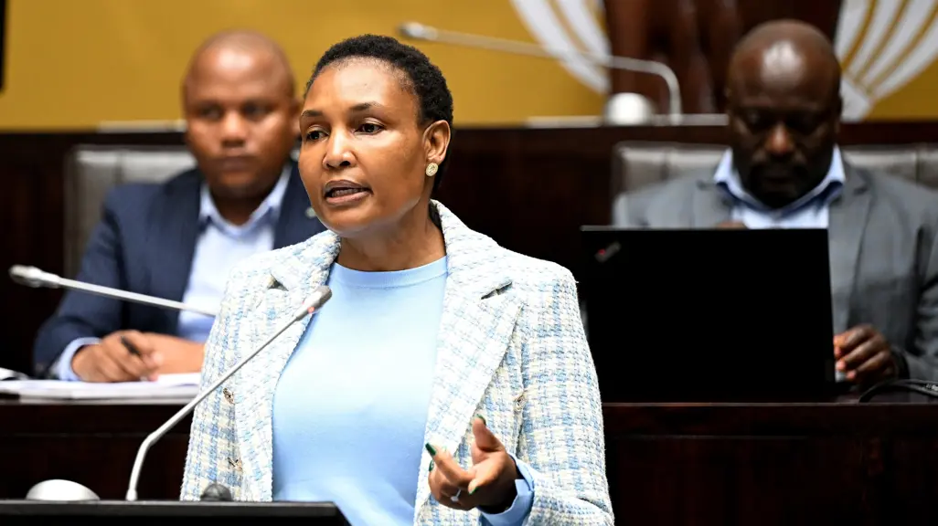 Simelane tells MPs she has 'no authority' to interfere in any VBS ...