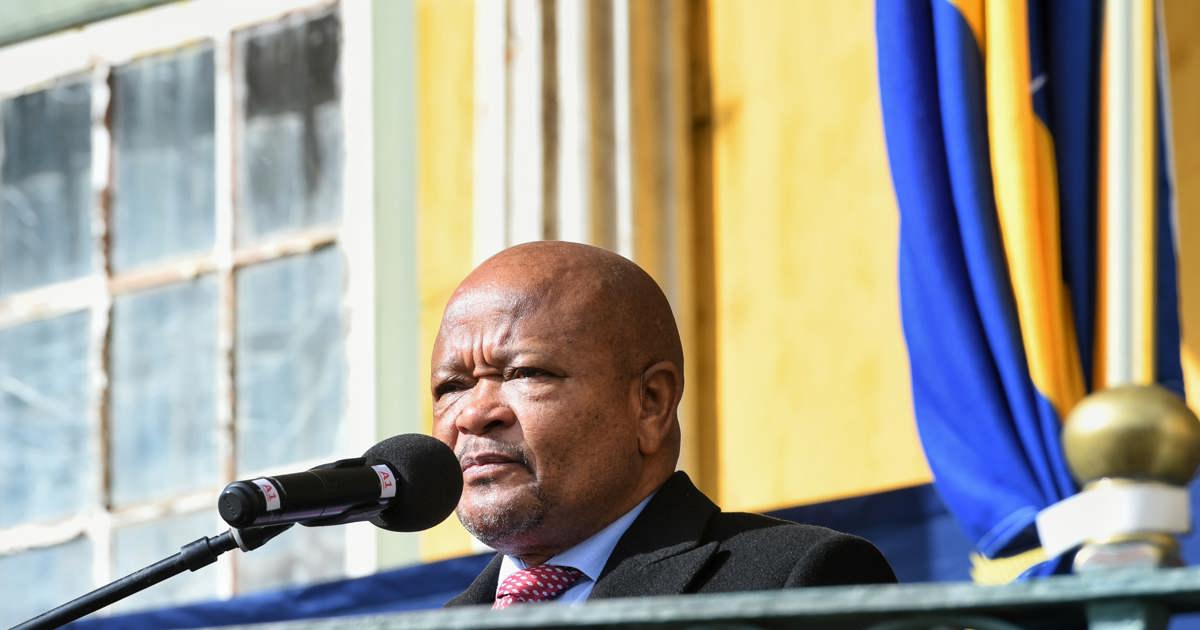 WATCH: 'I will do my best for SA' - Police Minister Mchunu on his new role