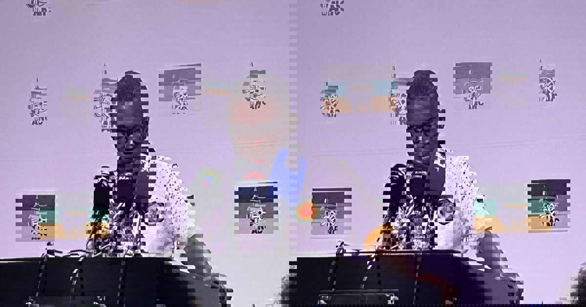 ANCYL's Malatji criticises some elected officials for sending their ...