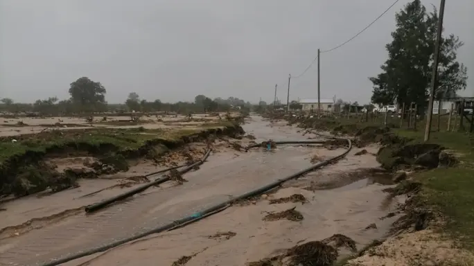Relief efforts underway after dams collapse near Malmesbury