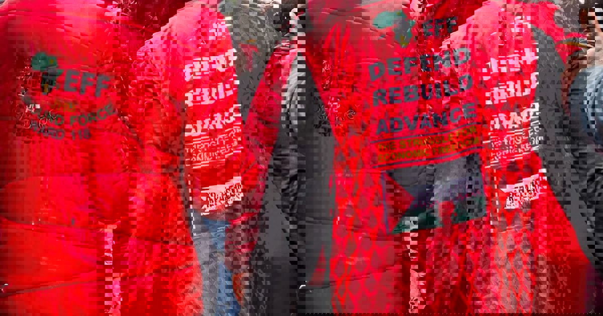 EFF introduces Insourcing Bill in Parliament