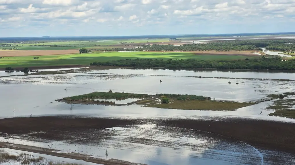 Limpopo authorities on high alert as torrential rains continue