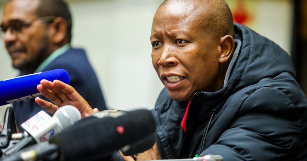 ‘Sell-out’ ANC has no reason to work with DA, FF Plus in GNU – Malema ‘Sell-out’ ANC has no reason to work with DA, FF Plus in GNU – Malema
