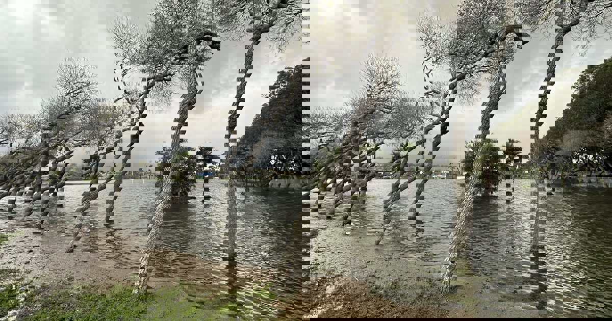 UPDATE: Storm damage less severe than last year – WC Disaster Management