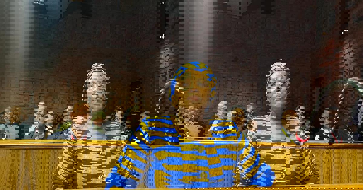 Mapisa-Nqakula says SA prisons overcrowded, won't be safe for her