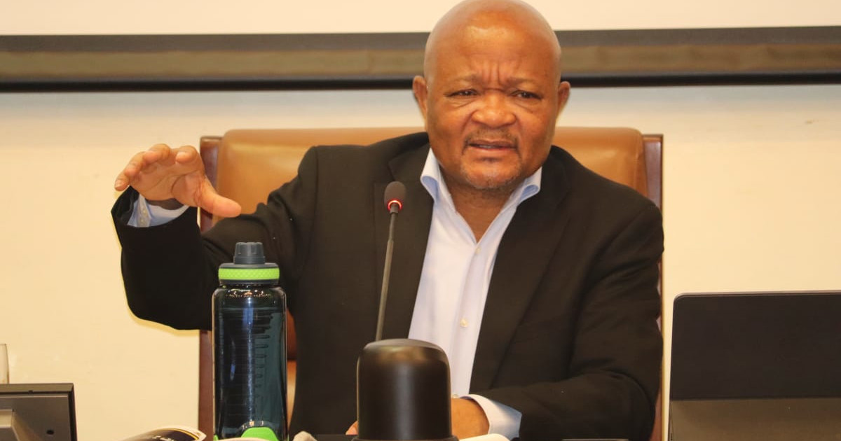 Mchunu: False impression created that Matatiele police were lax in ...