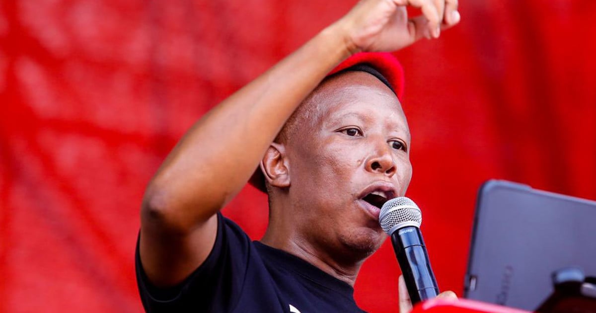 Malema accuses Nelson Mandela Foundation of failing to defend SA from ... Malema accuses Nelson Mandela Foundation of failing to defend SA from ...