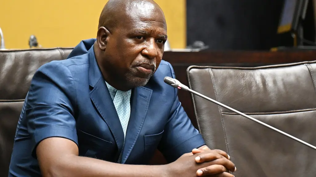 MPs slam Brown Mogotsi’s 'ridiculous' security demands in police ...