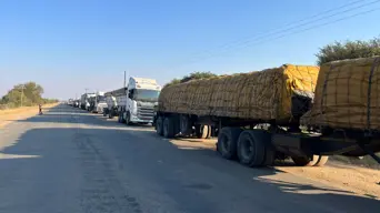 Voting stations needed at ports of entry, say truck drivers at the ...