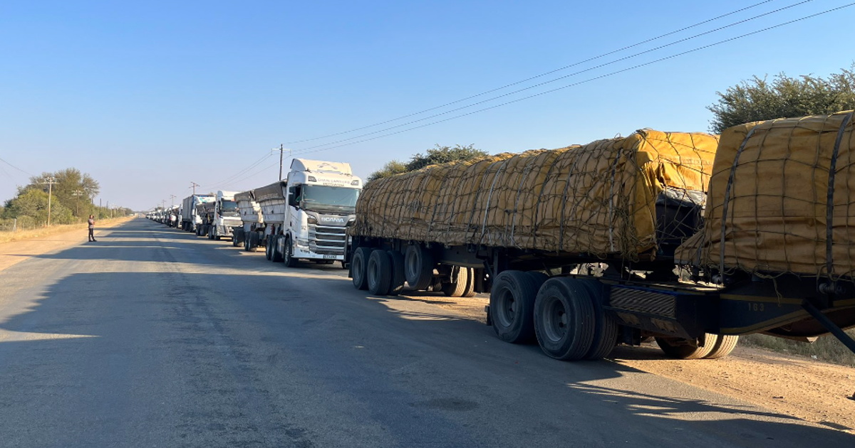Voting stations needed at ports of entry, say truck drivers at the ...