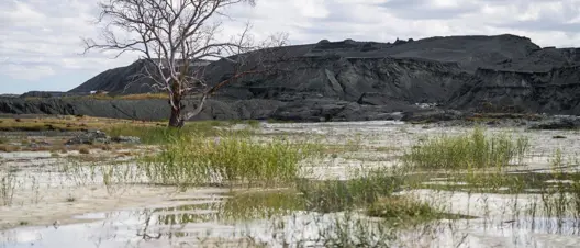 Charity, corruption and a suspicious house: We interview Pieter Louis ...