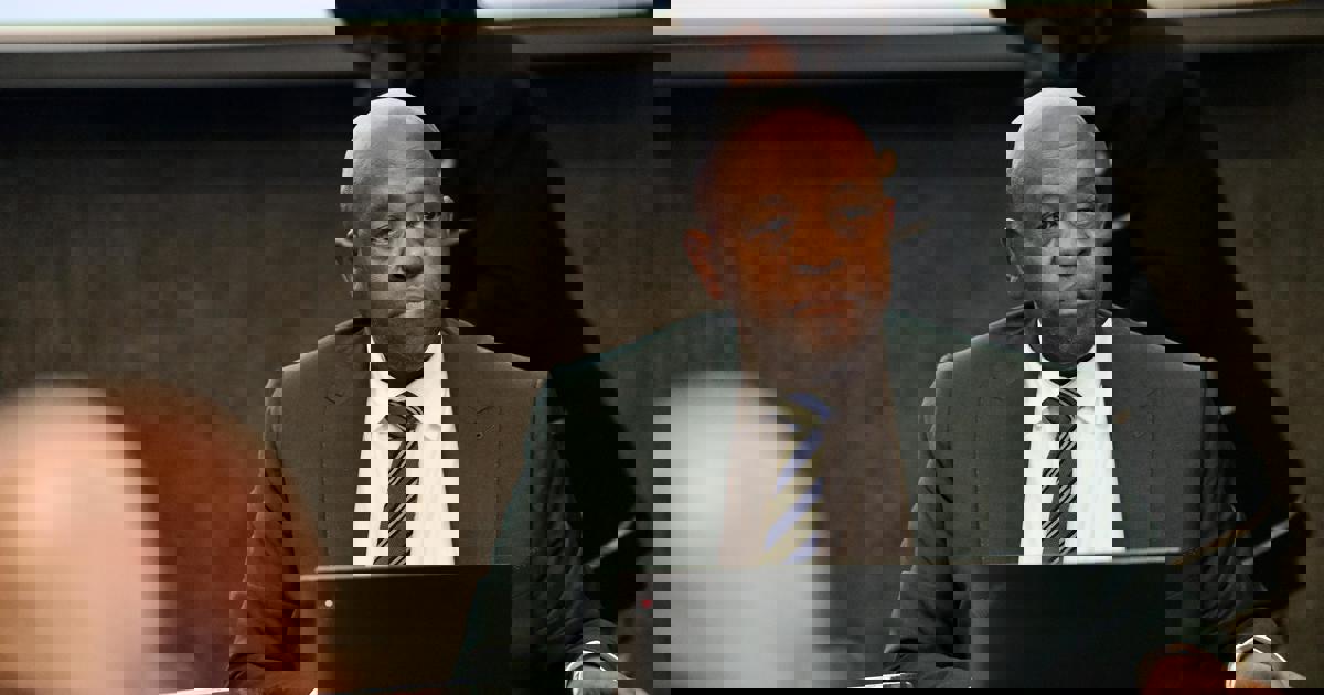 Accountability Now backs team Madlanga's put together to probe alleged ...