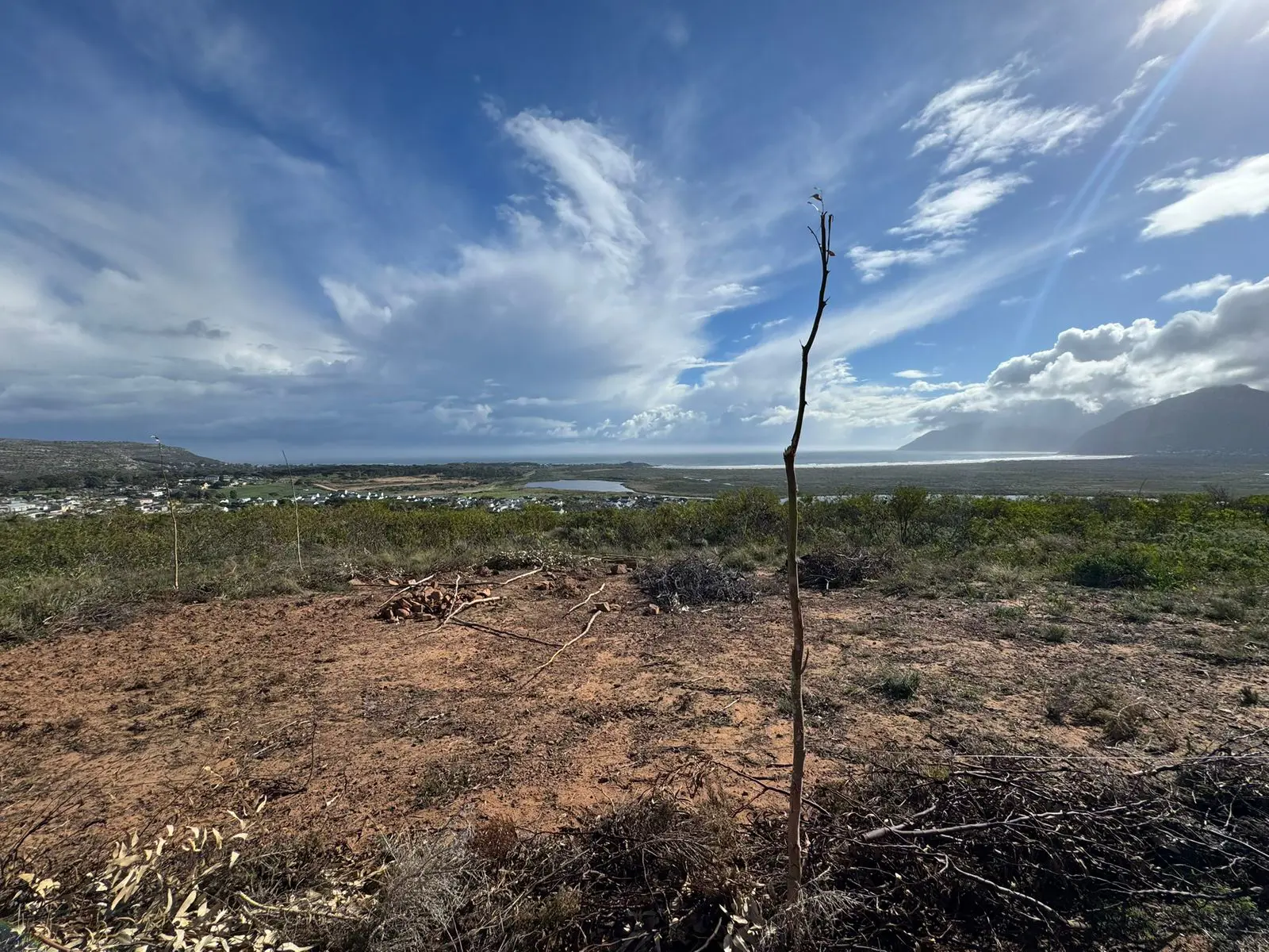 Ocean View sees forceful eviction of shack dwellers from disputed ...