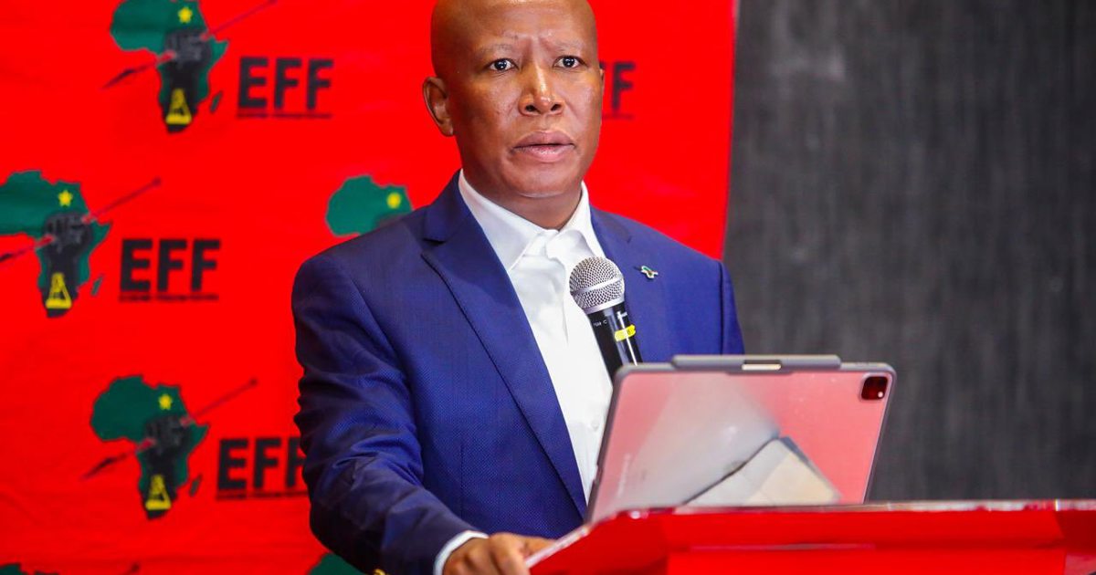 EFFSC member expelled after online spat with Malema wants a ...