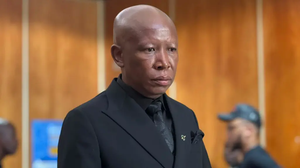 Social Worker recommends suspended fine for Julius Malema following gun ...