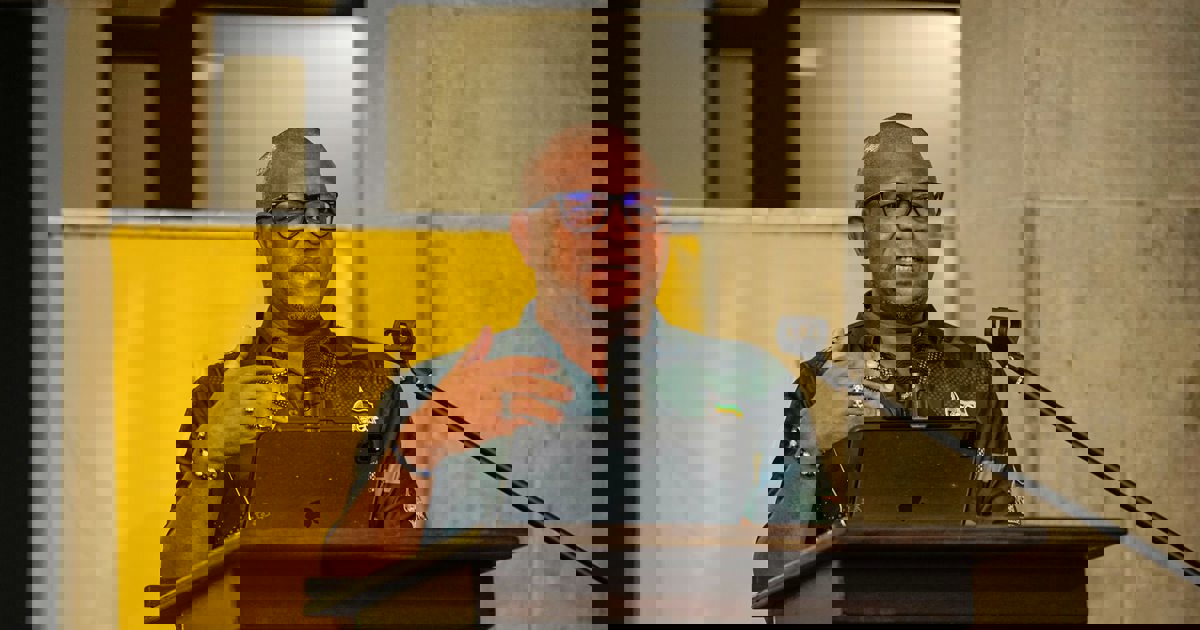 ANC's Mbalula on DA's GNU future: 'The ball is in your court'