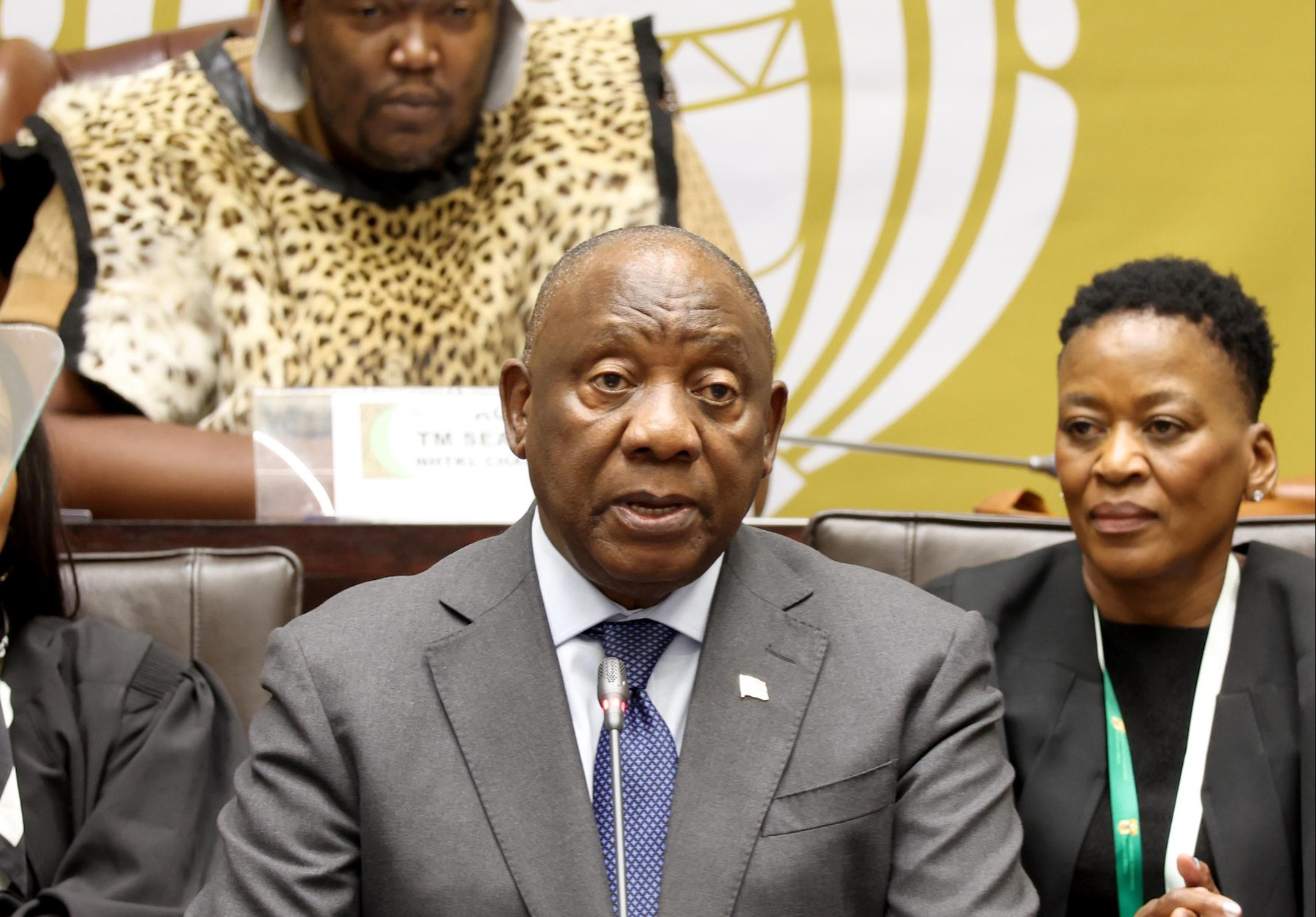 What is the role of traditional leaders in SA in 2025?
