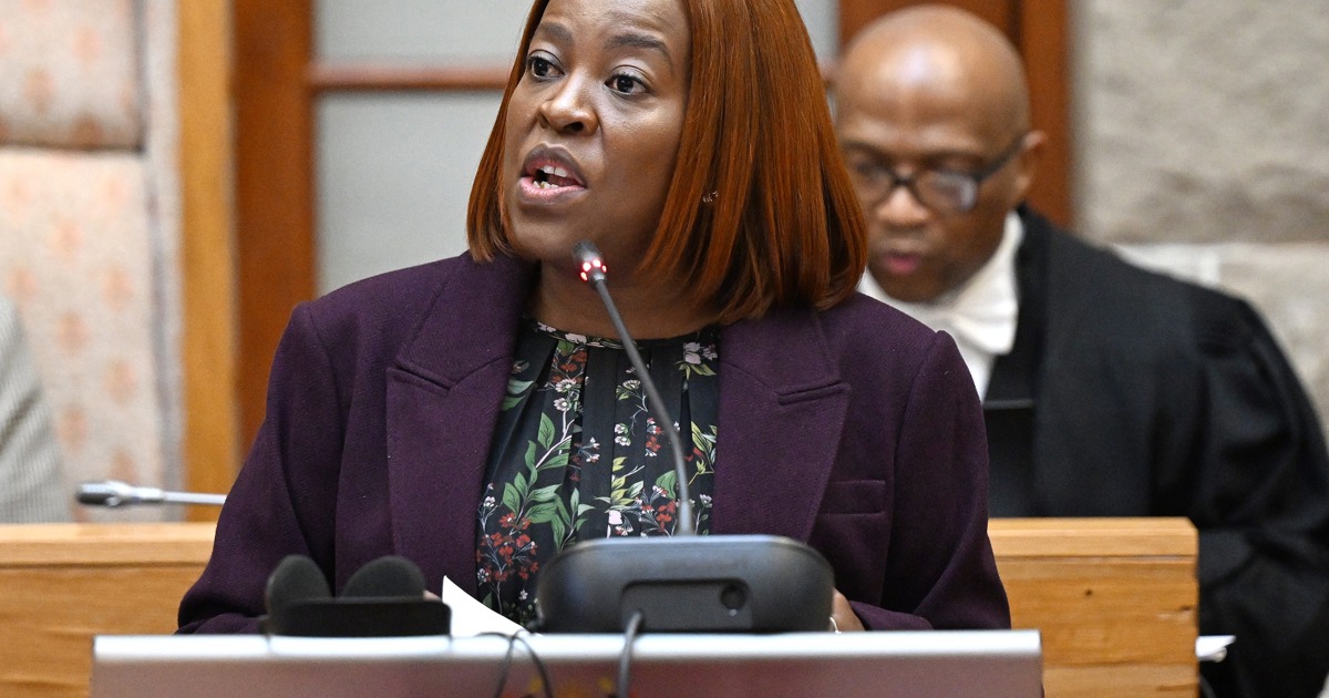 'Toothless Poodle': Opposition slams DPME's inability to enforce ...