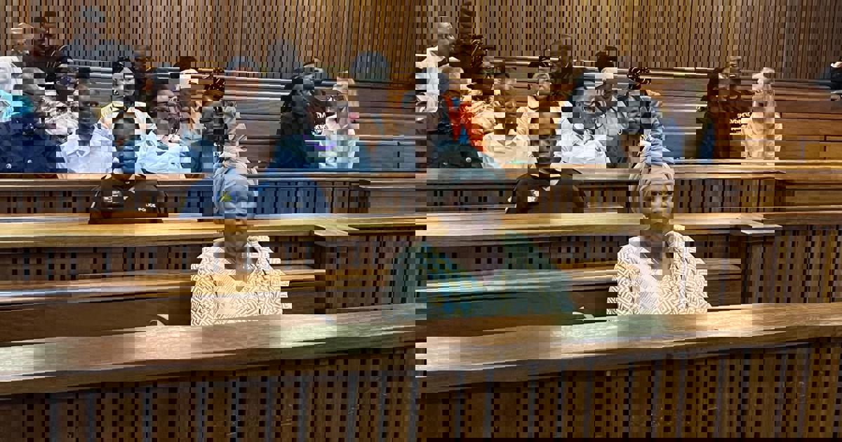 Court denies corruption-accused Mapisa-Nqakula access to investigation diary