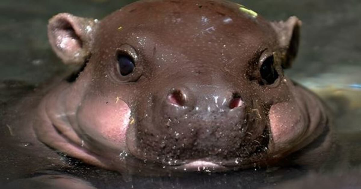 PICS: New York Times releases 'Most Stylish People of 2024' list that ...