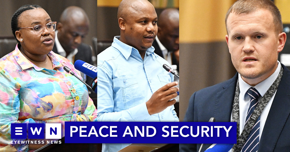 Peace and security cluster committees on Thembi Simelane, SA prisons