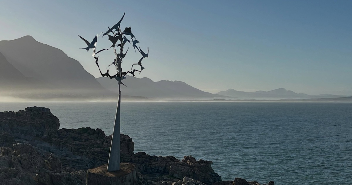Feast of art, performance and cuisine on offer at FynArts Festival