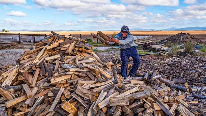 Raising revenue from alien invasives