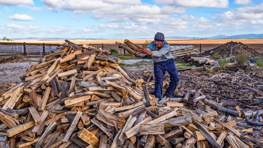 Raising revenue from alien invasives