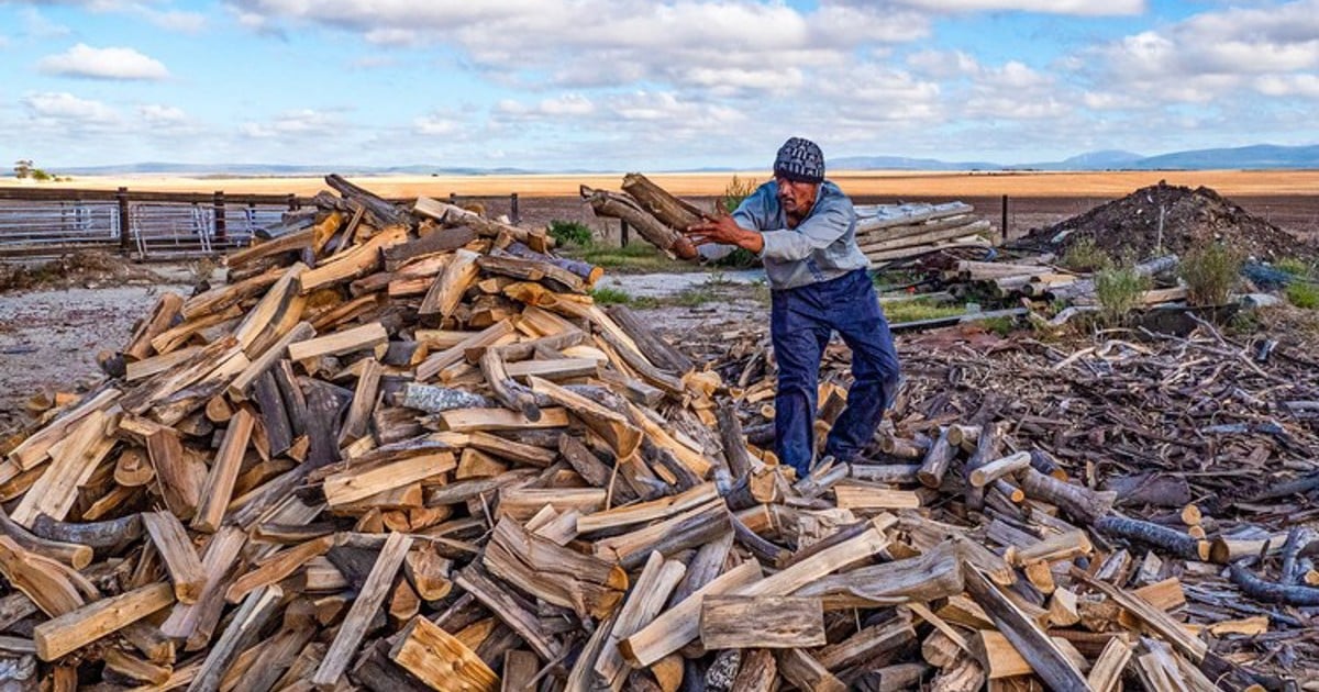 Raising revenue from alien invasives