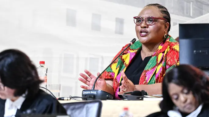 Didiza says Parliament considering Mkhwanazi's allegations