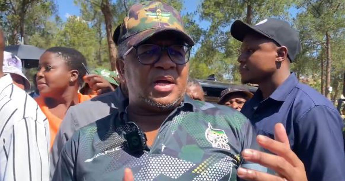 ANC's Mbalula confident govt can meet ANCWL's demands on GBV