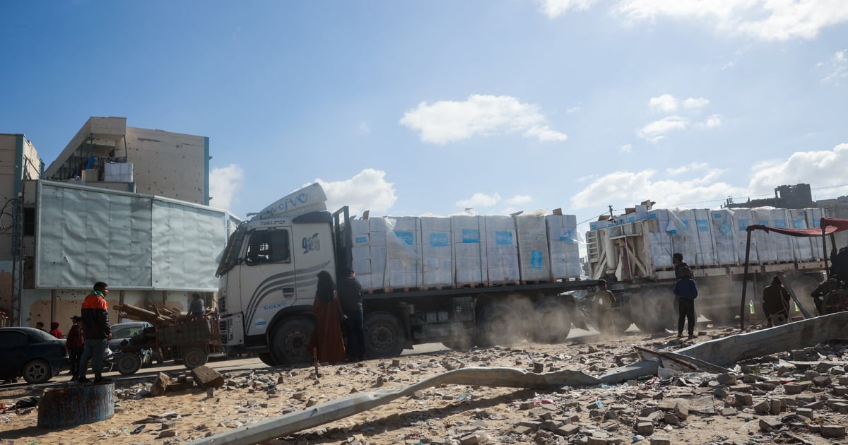 Over 10,000 aid trucks have entered Gaza since ceasefire: UN Over 10,000 aid trucks have entered Gaza since ceasefire: UN