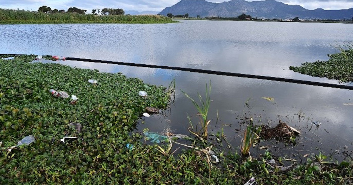 CoCT urges public to stop dumping waste in waterways after installation ...