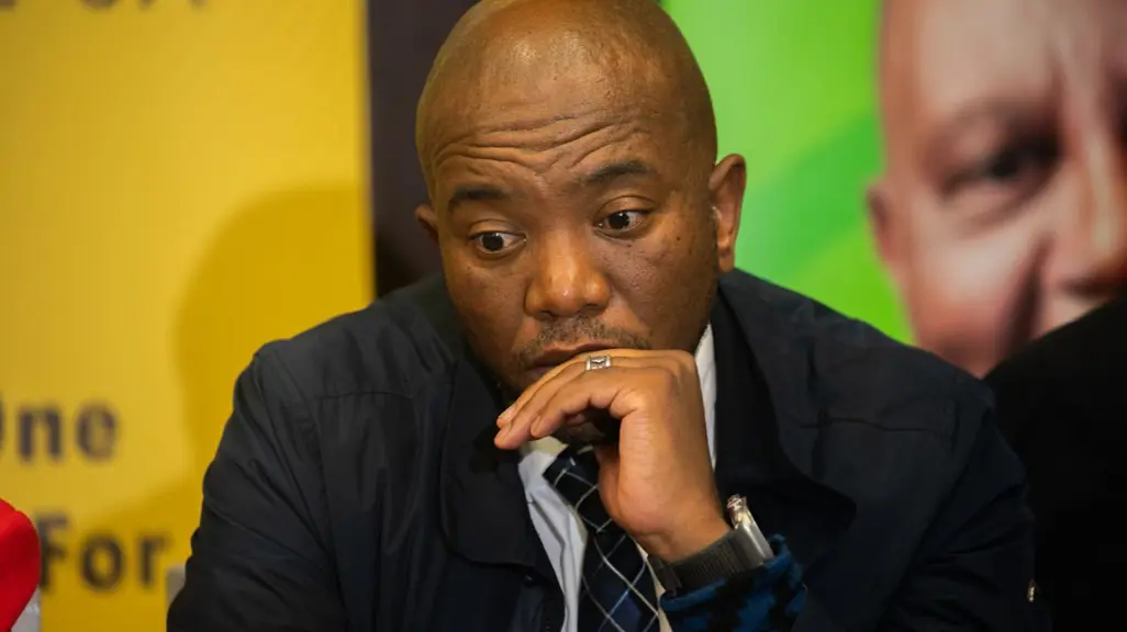 Maimane urges Ramaphosa to end SAPS leadership limbo and appoint a ...