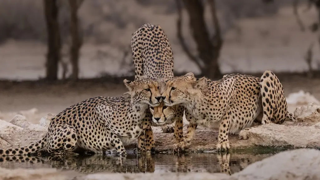 SANParks Week to allow visitors free access to most of its 21 national ...