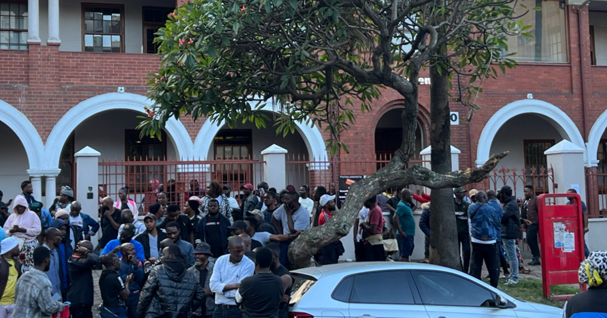 March and March calls for thorough probe into documents of foreign ...